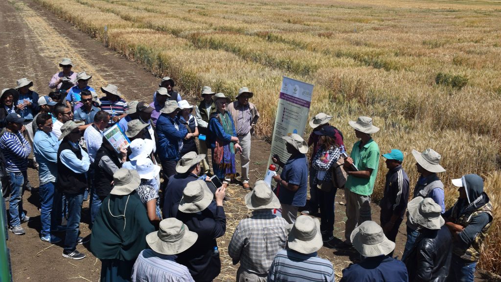 Capacity Building - ICARDA Annual Report 2021