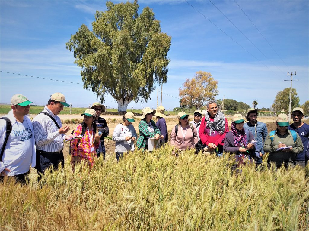 Capacity Building - ICARDA Annual Report 2021