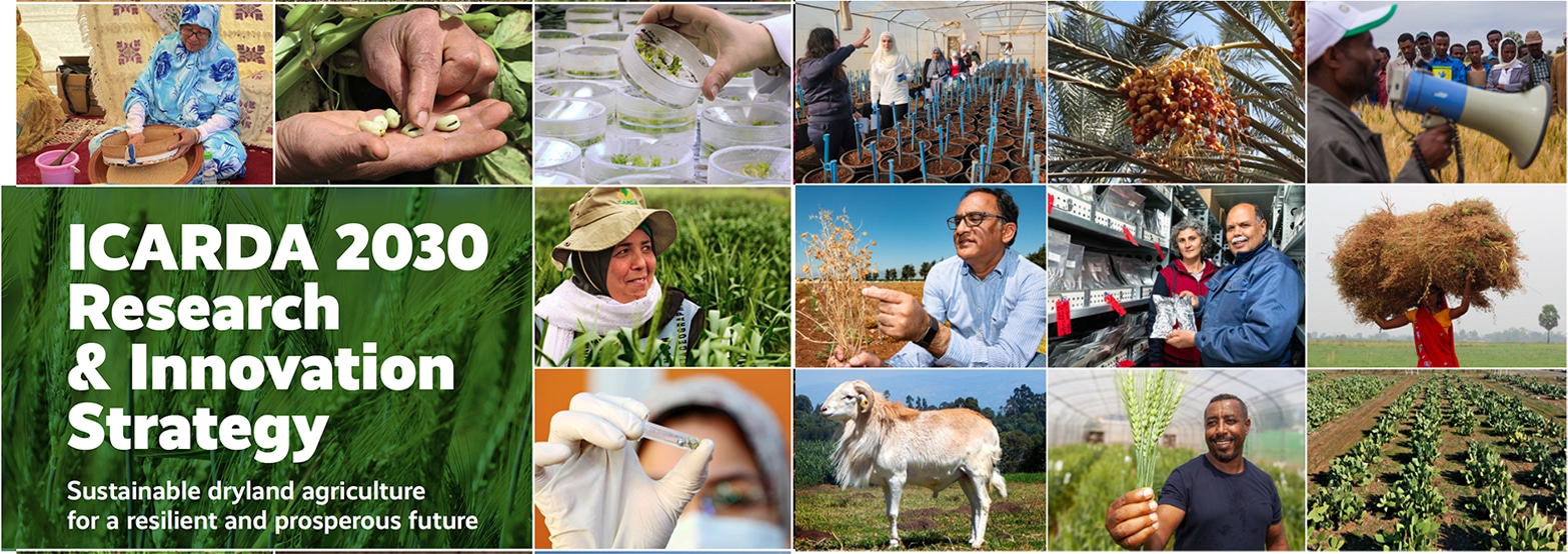 Facing Up To Climate Change – ICARDA Annual Report 2023